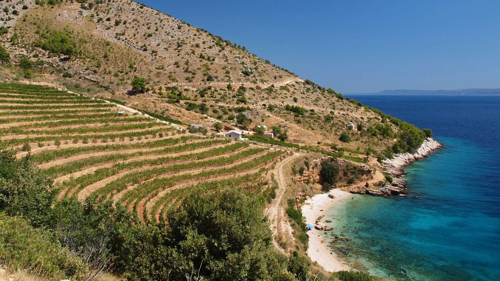 Five curious facts about Croatia - BBC Travel