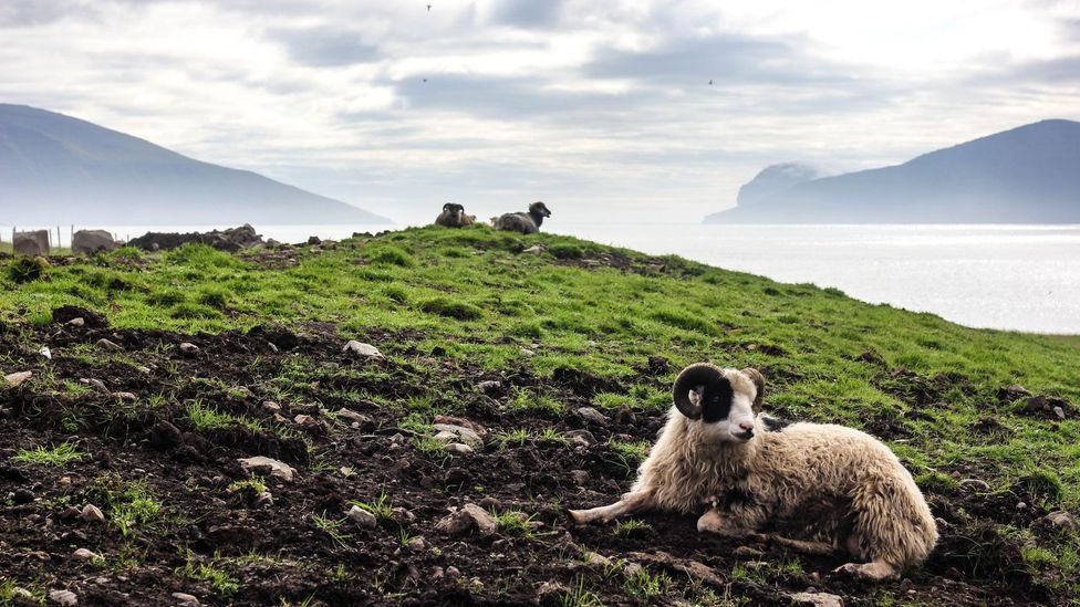 A land of legend far Faroe away - BBC Travel