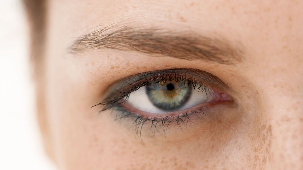 Why do you have eyebrows? - BBC Future