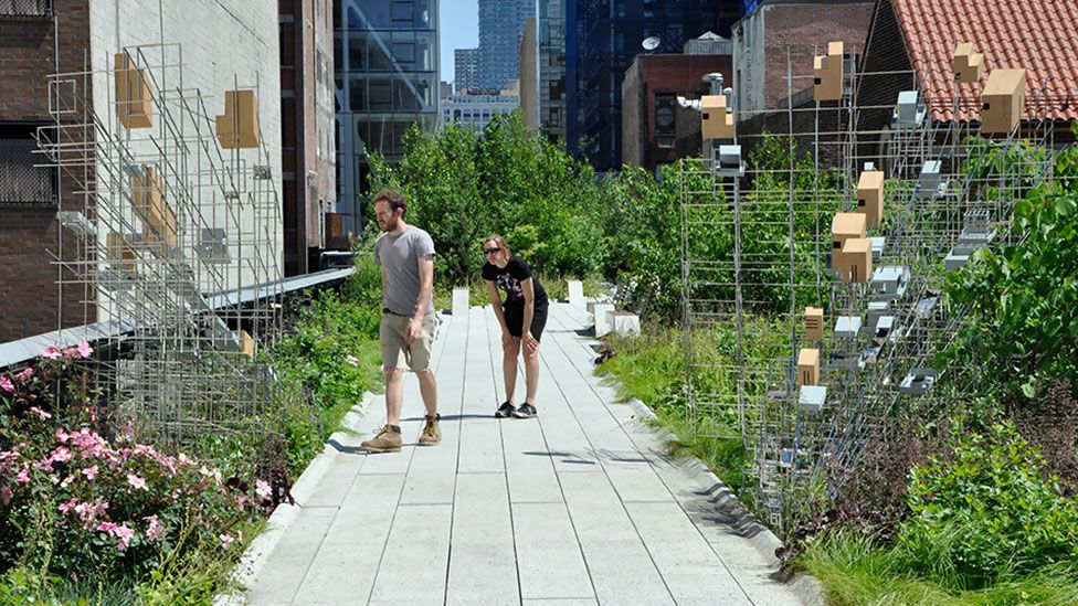 New York’s High Line: A public art space done right - BBC Culture
