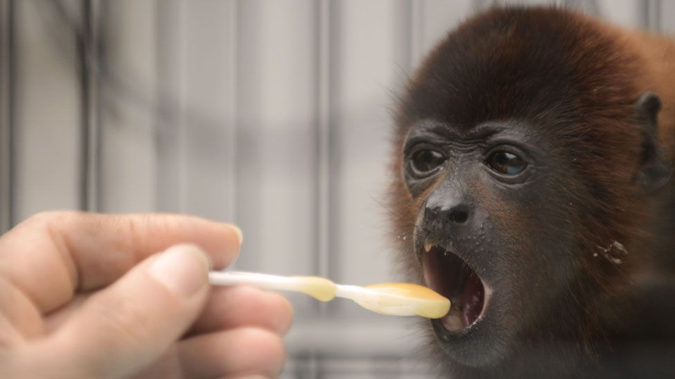 The best science and technology pictures of the week - BBC Future