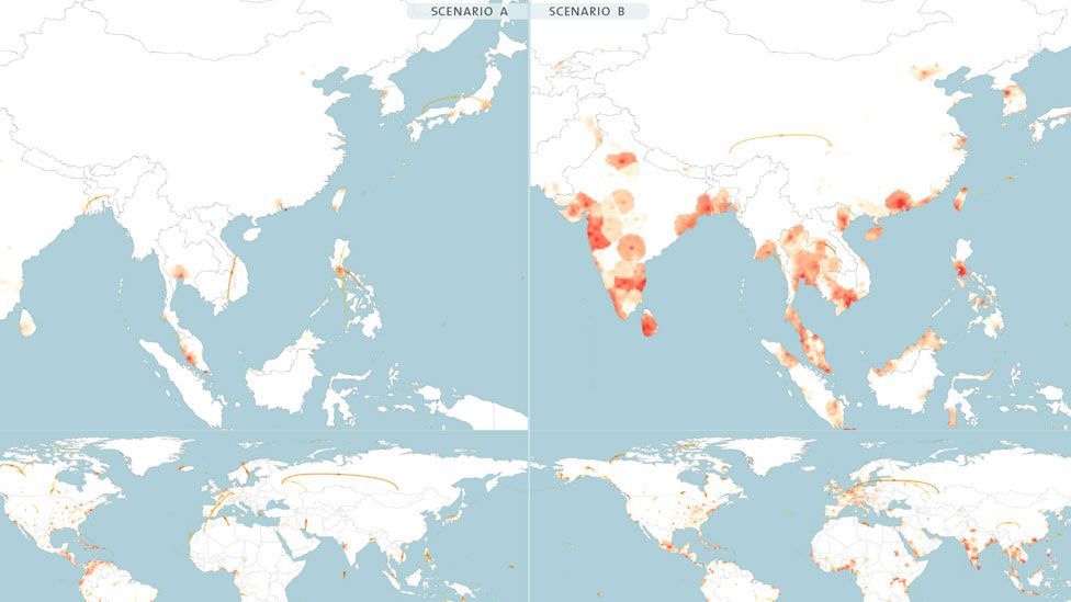 The power and beauty of data visualisation in science - BBC Future