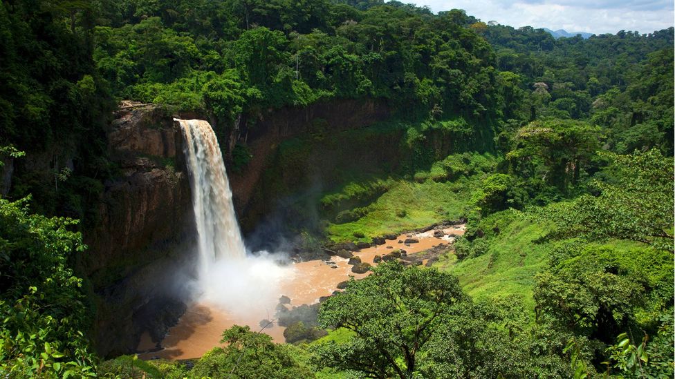 Tarzan’s bewitching jungle home - BBC Travel