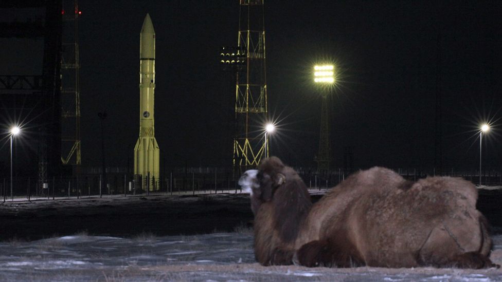 The best science and technology pictures of the week - BBC Future