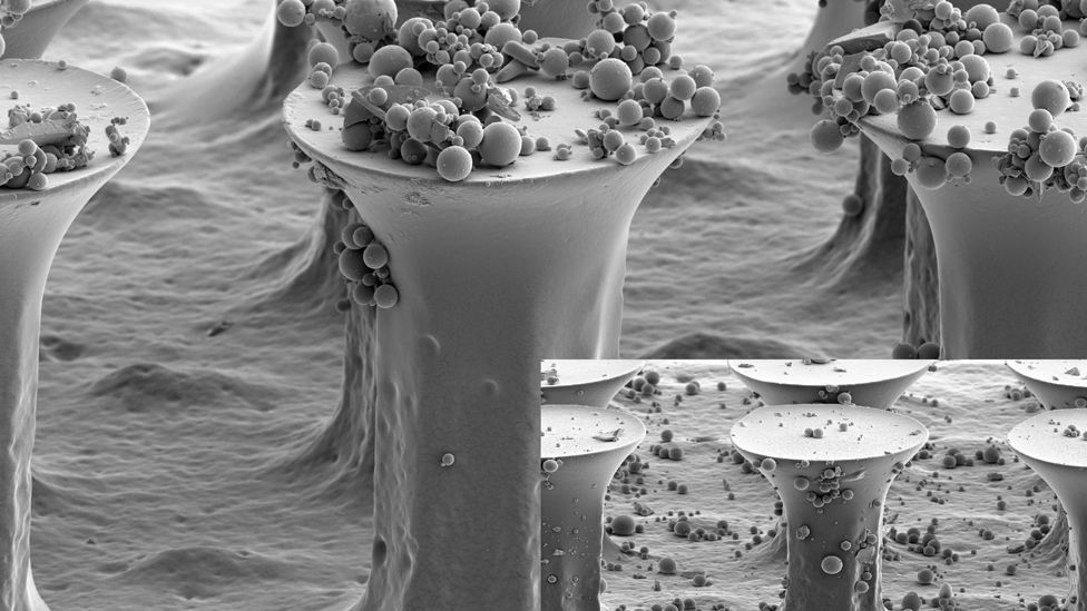 The best science and technology pictures of the week - BBC Future