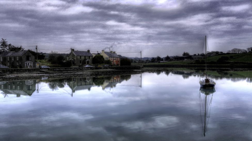 Whale watching on Ireland’s newest coastal route - BBC Travel