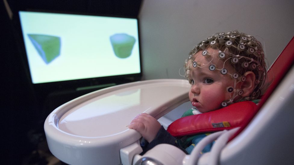 The best science and technology pictures of the week - BBC Future