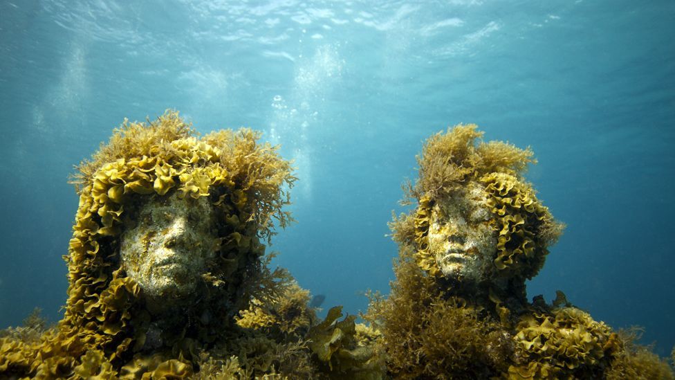 A museum on the ocean floor - BBC Culture