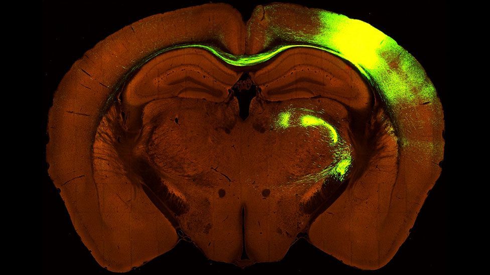 The best science and technology pictures of the week - BBC Future