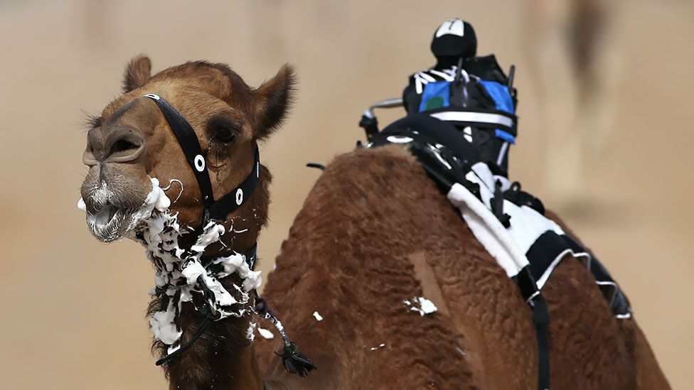 The best science and technology pictures of the week - BBC Future