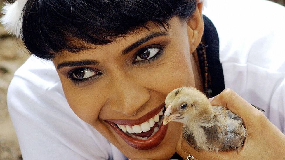 India’s potential lures a new generation home - BBC Worklife