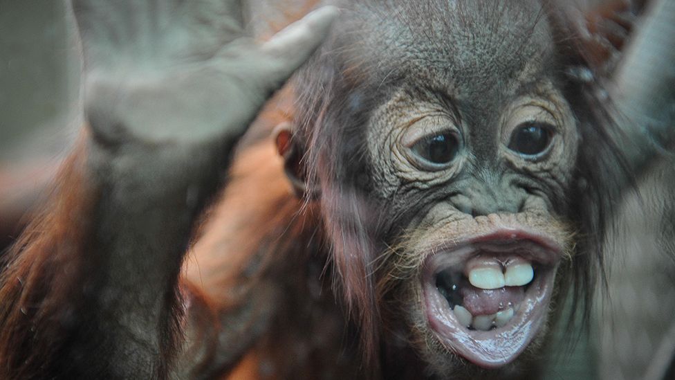 The best science and technology pictures of the week - BBC Future