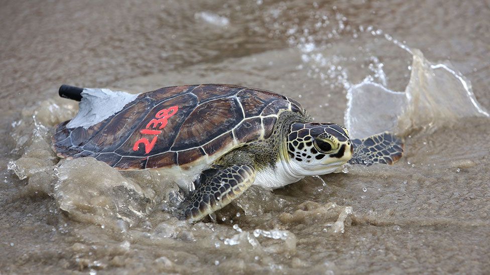 The best science and technology pictures of the week - BBC Future