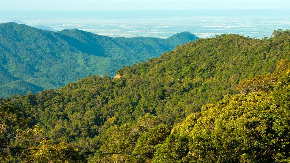 The hidden highlands of Hainan - BBC Travel