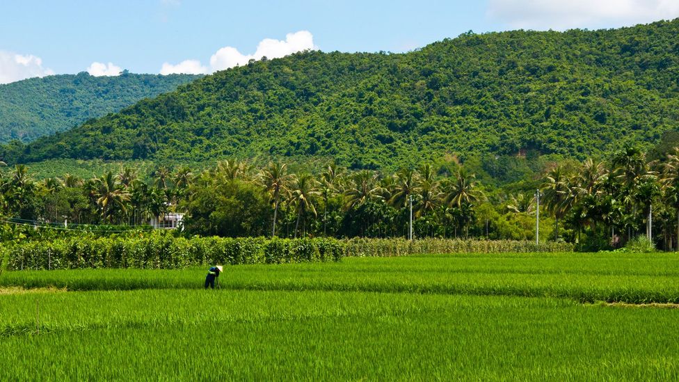 The hidden highlands of Hainan - BBC Travel