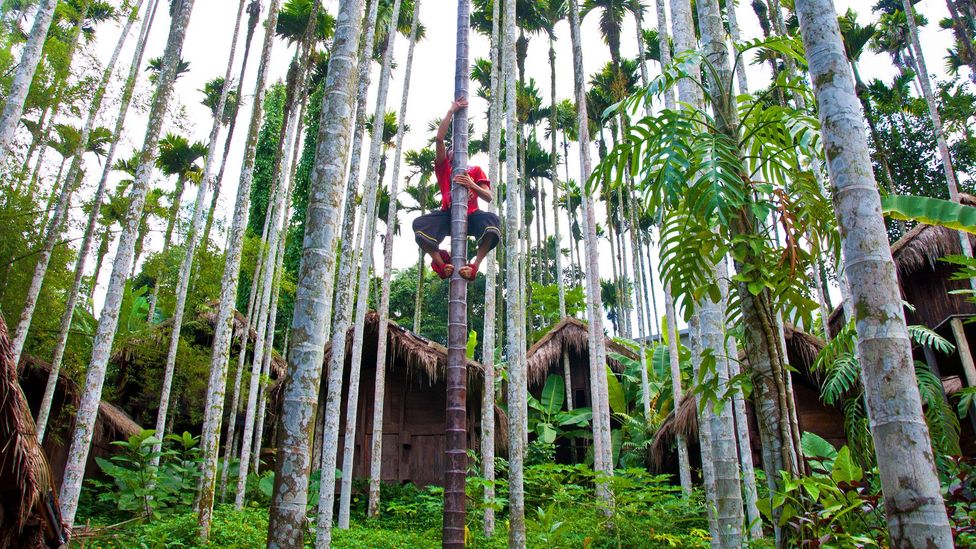 The hidden highlands of Hainan - BBC Travel