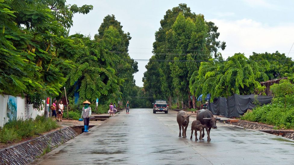 The hidden highlands of Hainan - BBC Travel