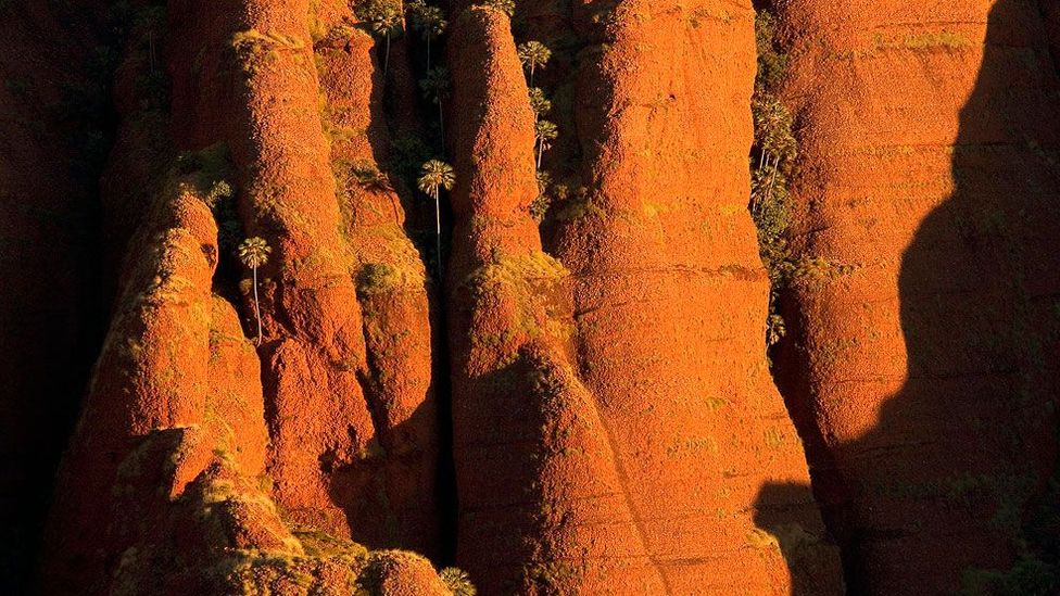 Rare photos of untouched Australia - BBC Travel