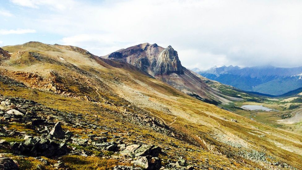 Hiking to the top of Jasper National Park - BBC Travel