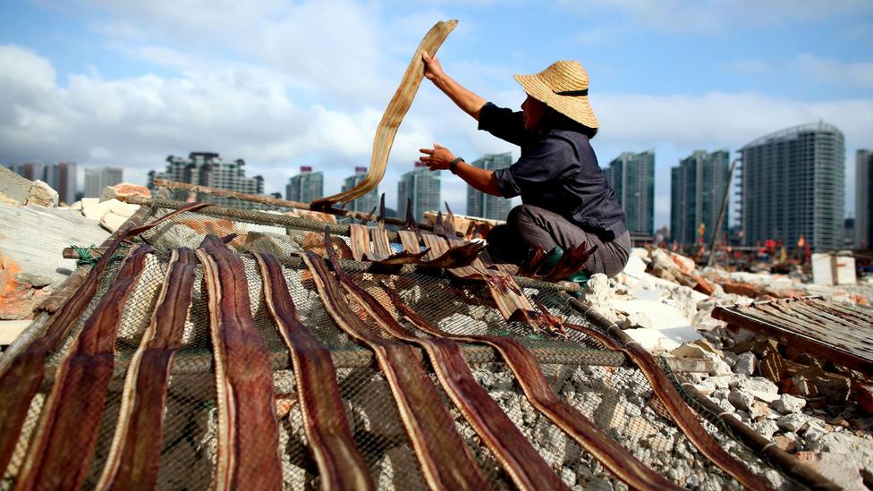 Hainan: China's paradise of exiles - BBC Travel