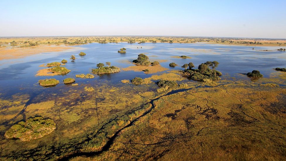 Botswana - BBC Travel