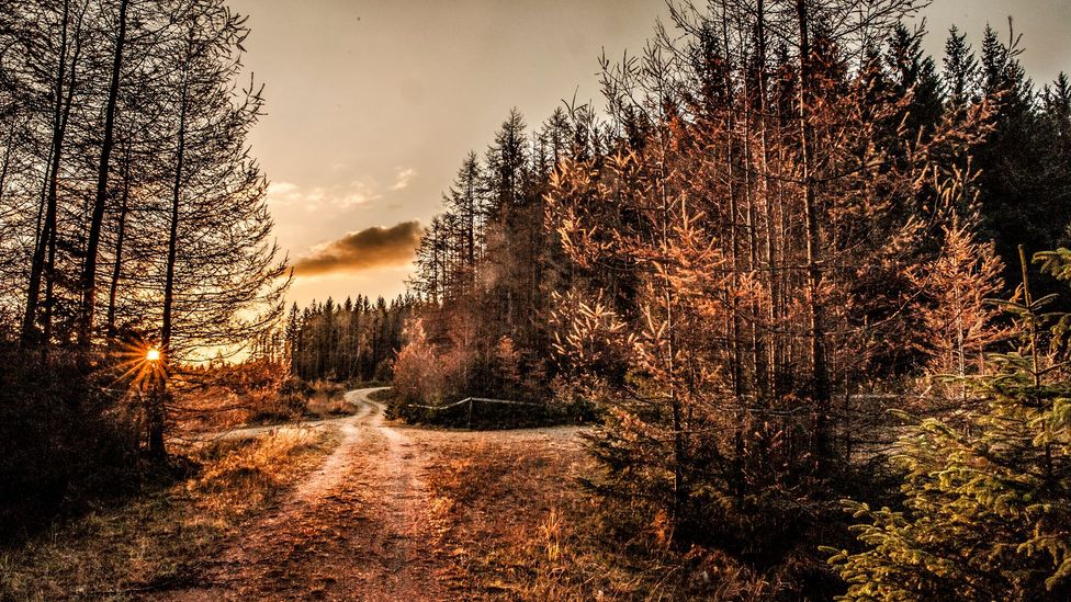 Stunning photos of Scottish skies - BBC Travel