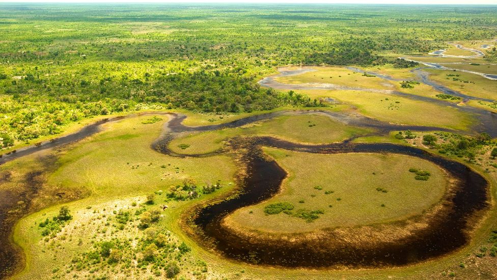 Africa’s incredible wetland oasis - BBC Travel
