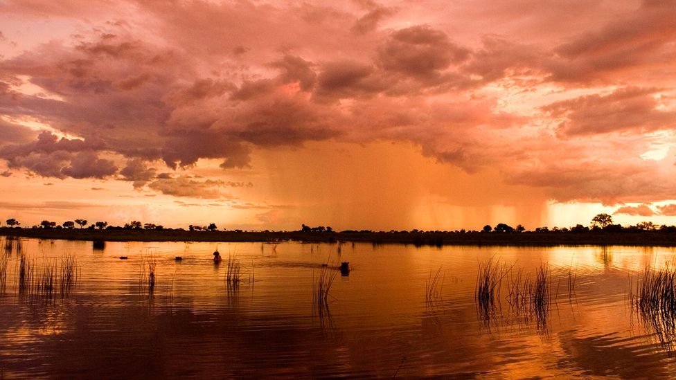 Africa’s incredible wetland oasis - BBC Travel