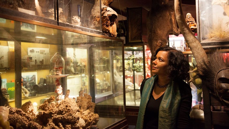 Museum - BBC Culture