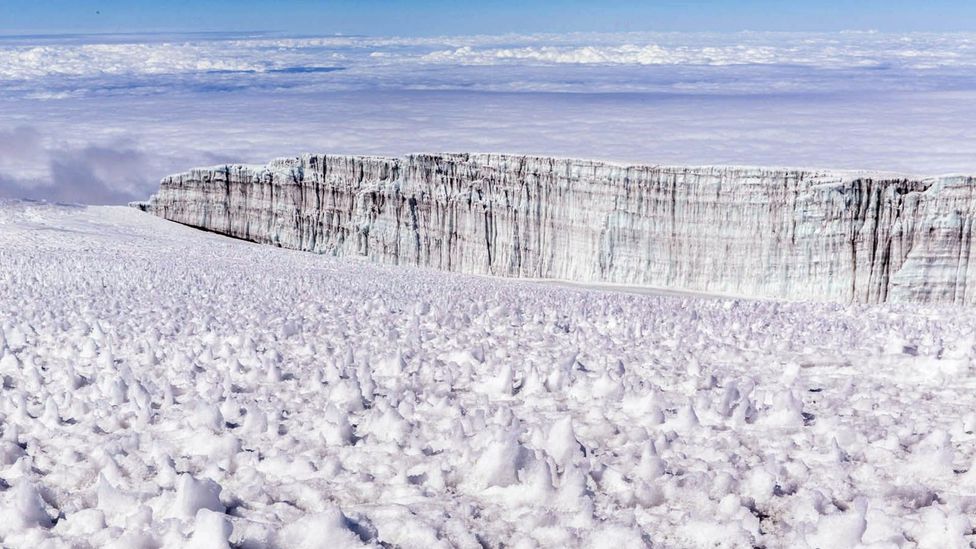 Kilimanjaro’s majestic icy giants - BBC Travel