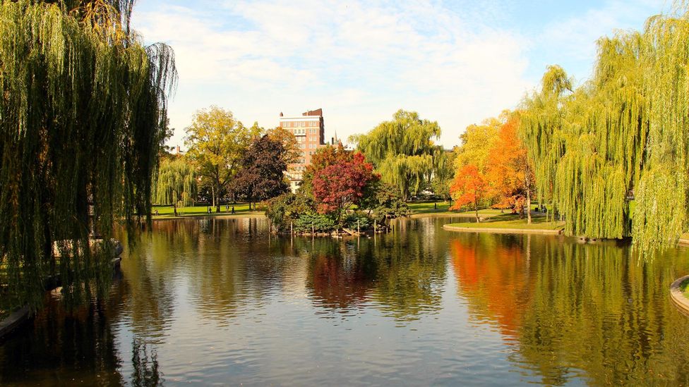 The Boston immortalised in Good Will Hunting - BBC Travel