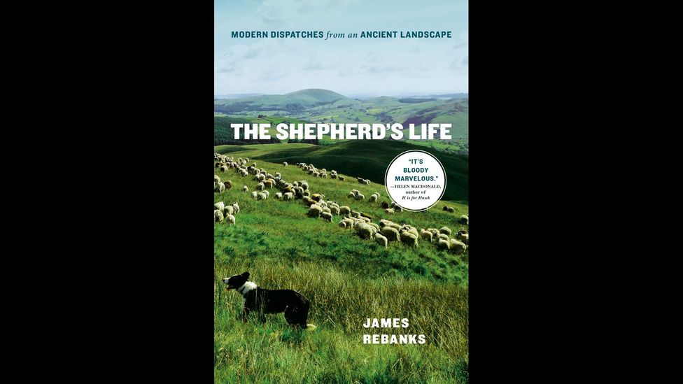 Ten books to read in May - BBC Culture