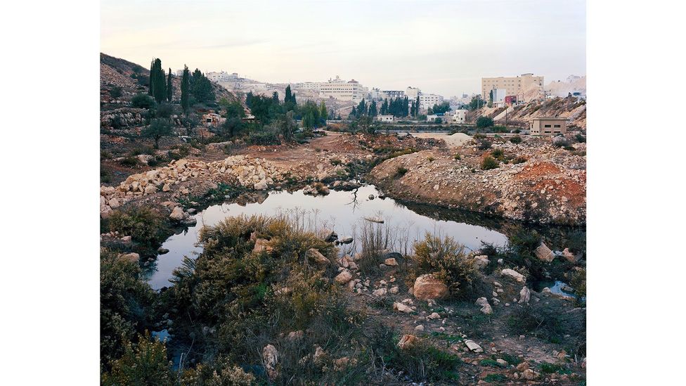 Thomas Struth: An eye on Israel and the West Bank - BBC Culture