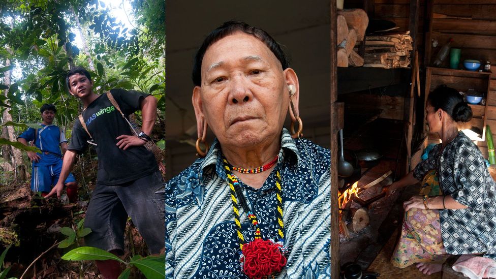 The tribe saving Borneo's forests - BBC Travel