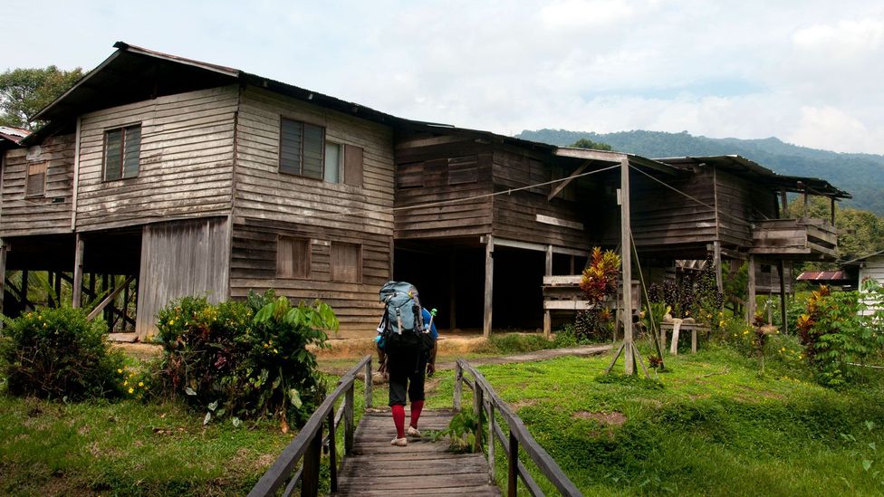 The tribe saving Borneo's forests - BBC Travel