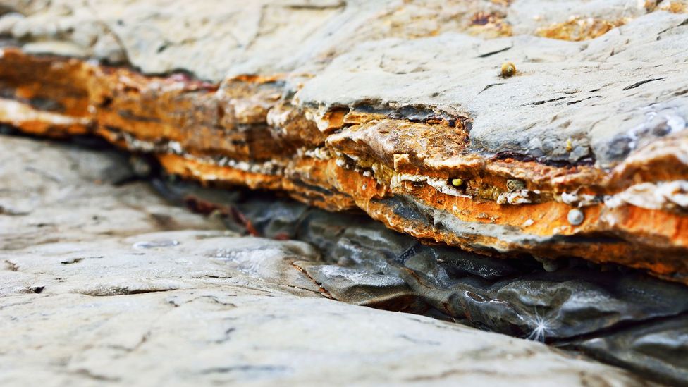 England’s very own Jurassic Park - BBC Travel