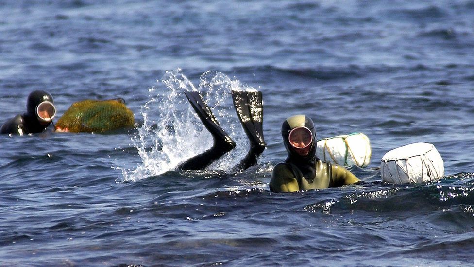 The ‘sea women’ of South Korea - BBC Travel