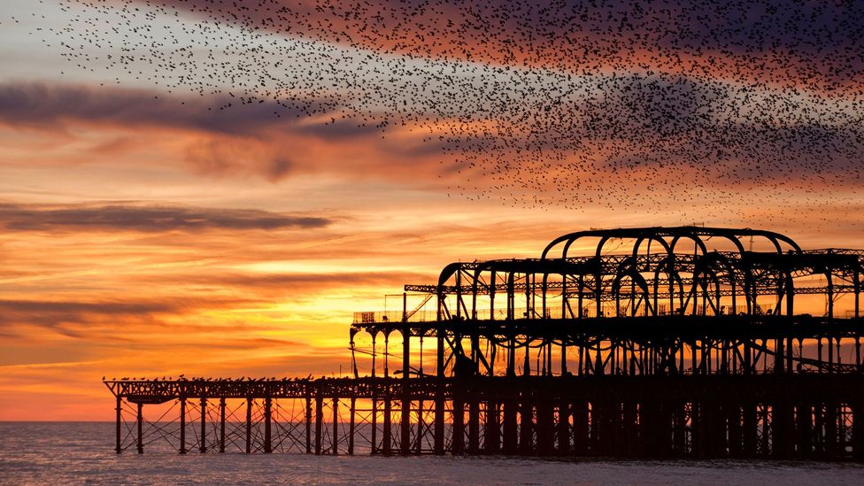 Britain’s endangered seaside piers - BBC Travel