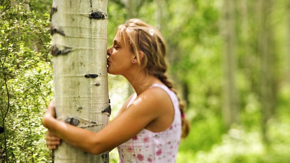 Could you go off-grid? - BBC Worklife