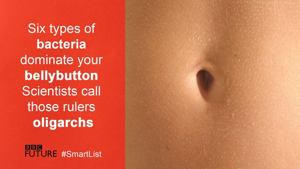 The SmartList: Five things to expand your mind - BBC Future