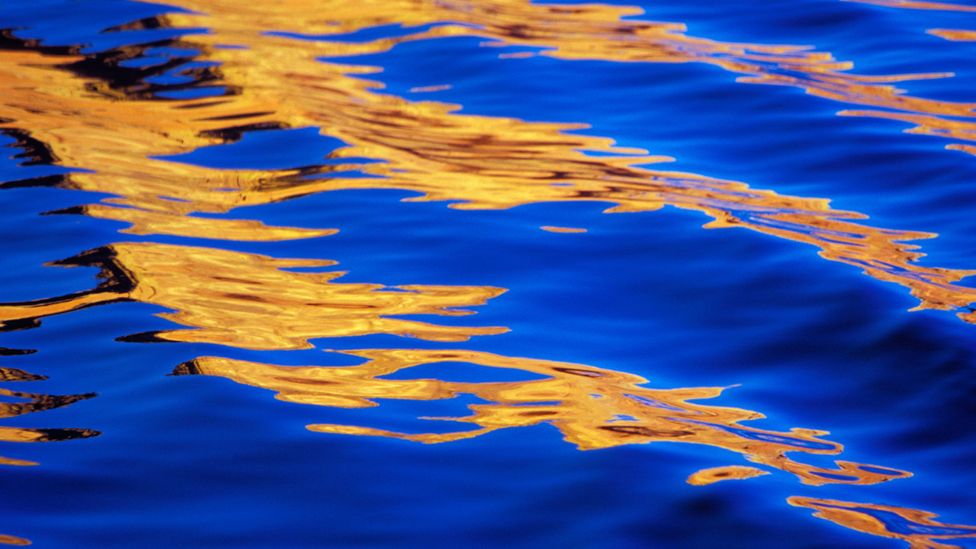 Is this the real liquid gold? - BBC Worklife