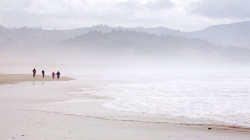 The wild spirit of Oregon’s coast - BBC Travel