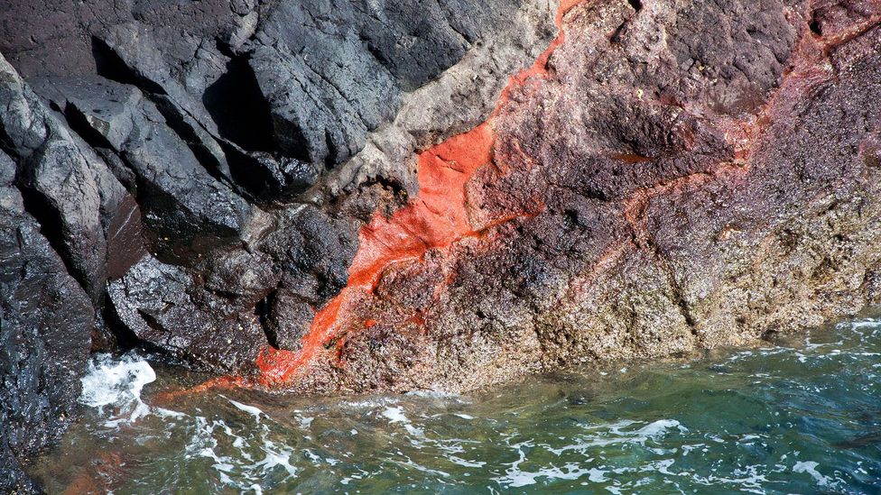The spectacular Gobbins Cliff Path - BBC Travel