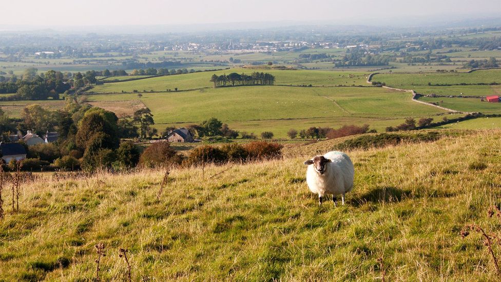 Discover Ireland’s most ancient secrets - BBC Travel