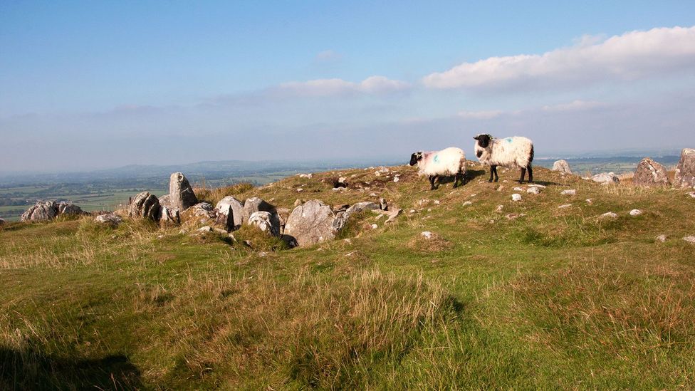 Discover Ireland’s most ancient secrets - BBC Travel