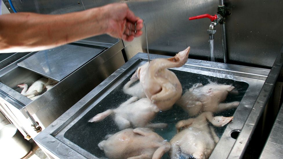 The dish worth a 15-hour flight - BBC Travel