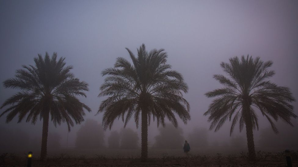 Dubai’s elusive fog phenomenon - BBC Travel