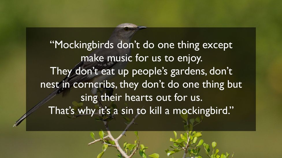 To Kill a Mockingbird’s memorable quotes - BBC Culture