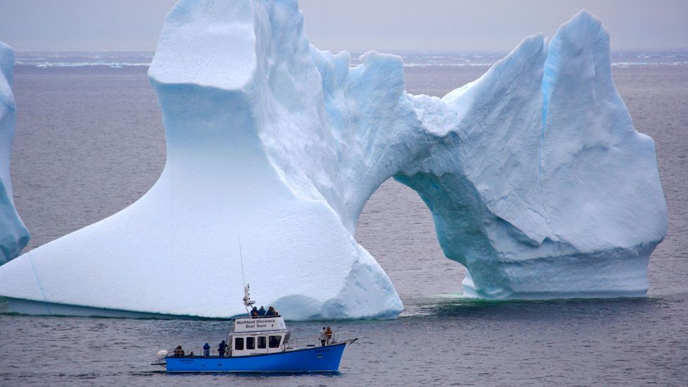 The cowboys who lasso ice - BBC Travel