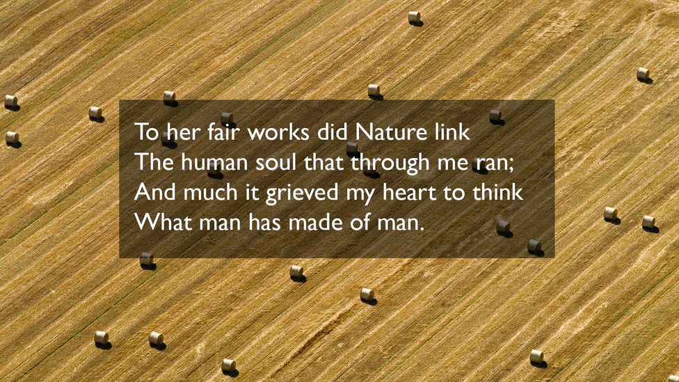 Eight beautiful William Wordsworth quotes on nature - BBC Culture